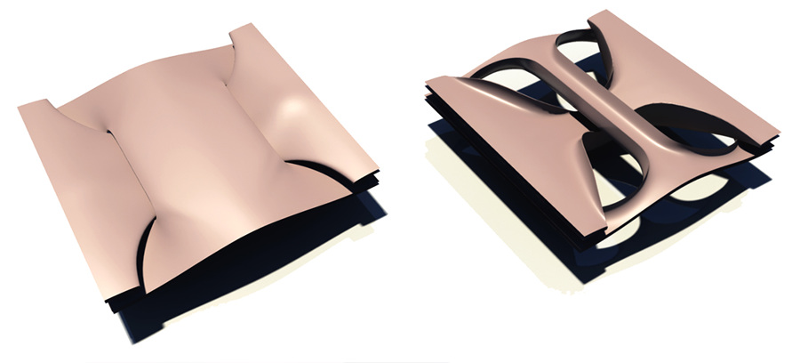 ERWIN HAUER STUDY - Jon Bucholtz